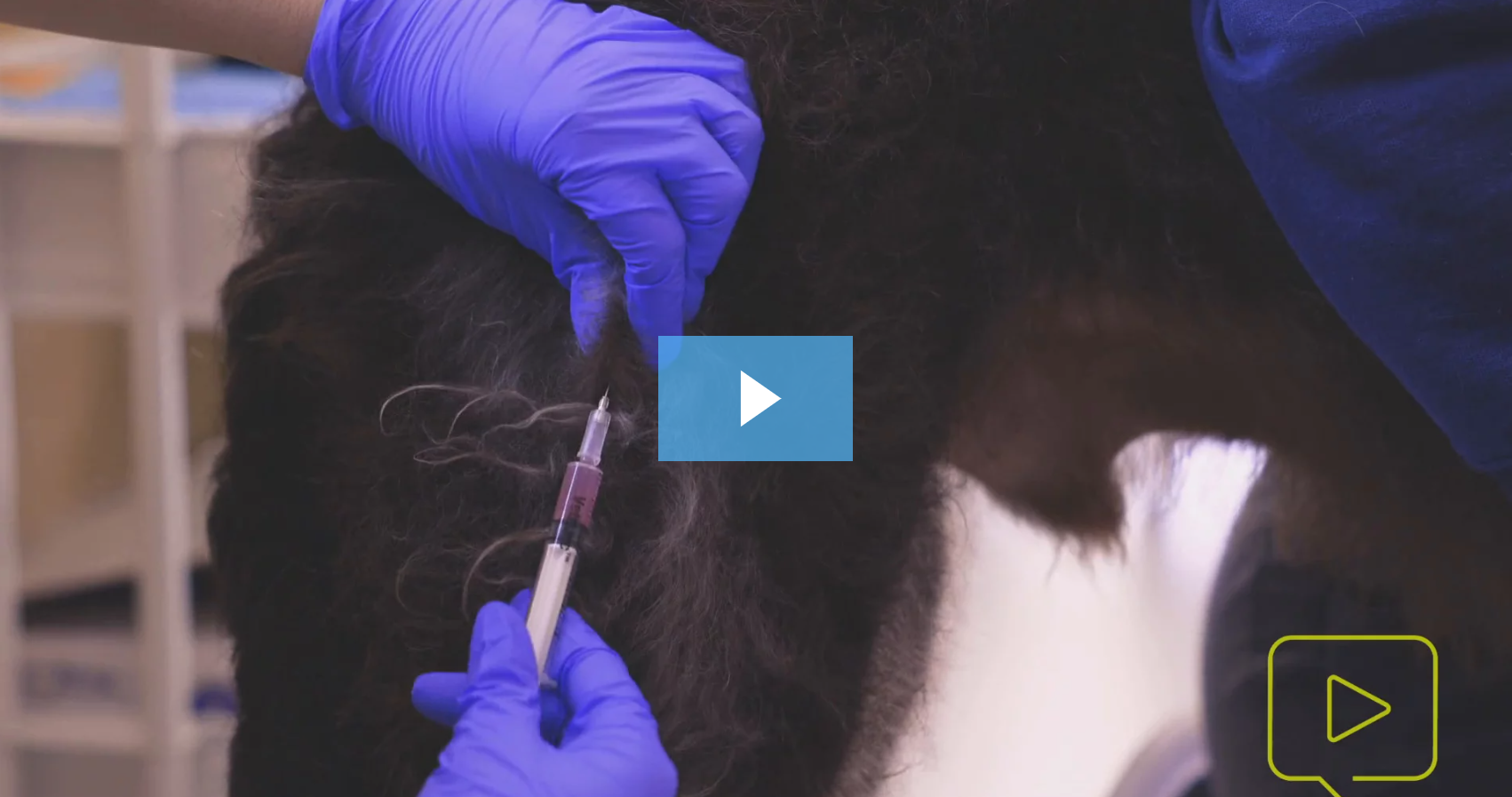 Procedural Videos | atDove.org