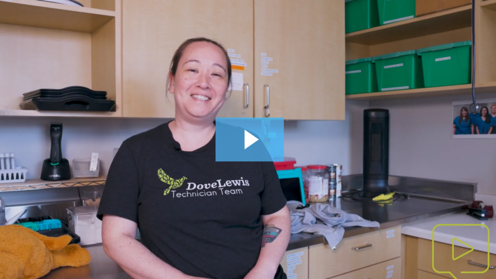 atDove.org | Veterinary Team Training & CE