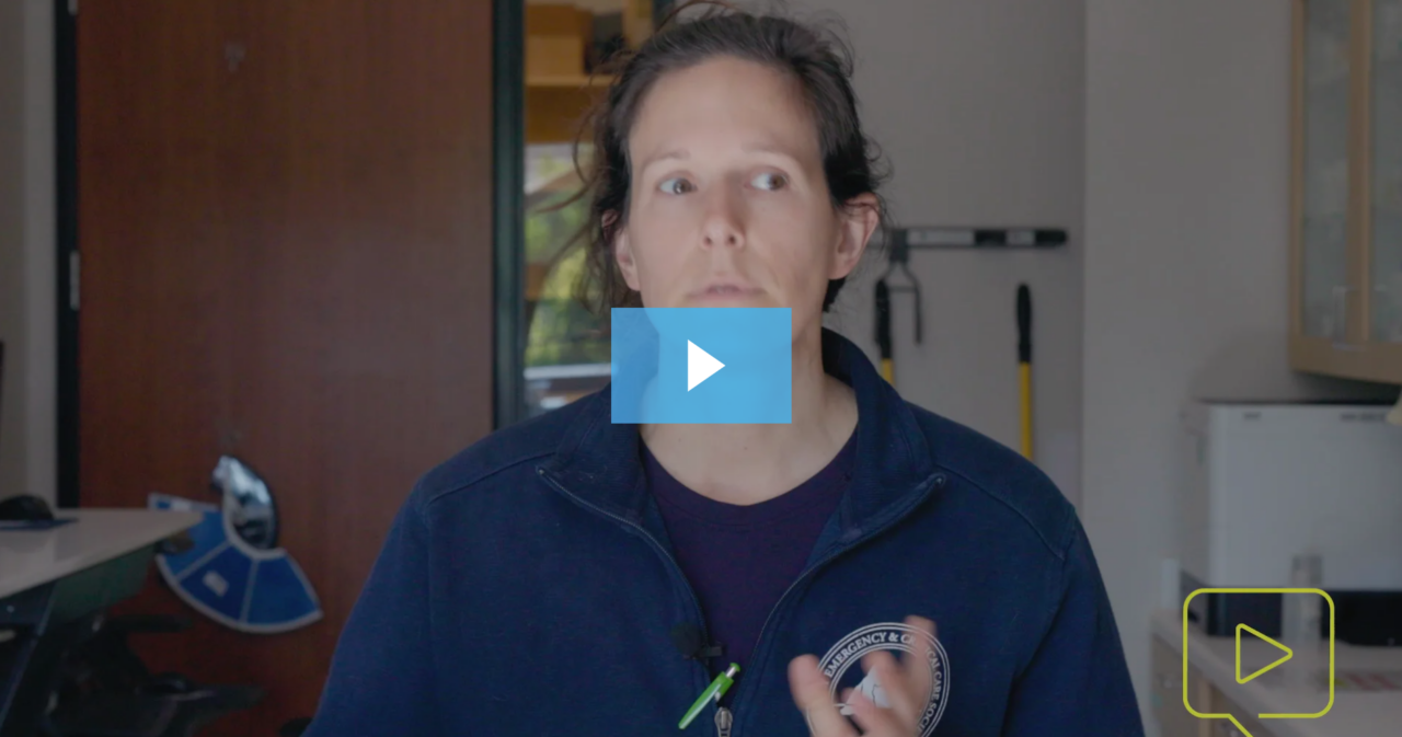 atDove.org | Veterinary Team Training & CE